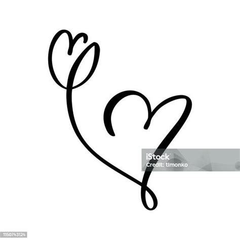 손으로 그린 두 마음과 튤립 꽃 사랑 기호입니다 발렌타인 데이의 낭만적 인 서 예 그림 벡터입니다 콘셉트 N 아이콘 기호 티셔츠 인사말 카드 포스터 웨딩 결혼식에 대한 스톡