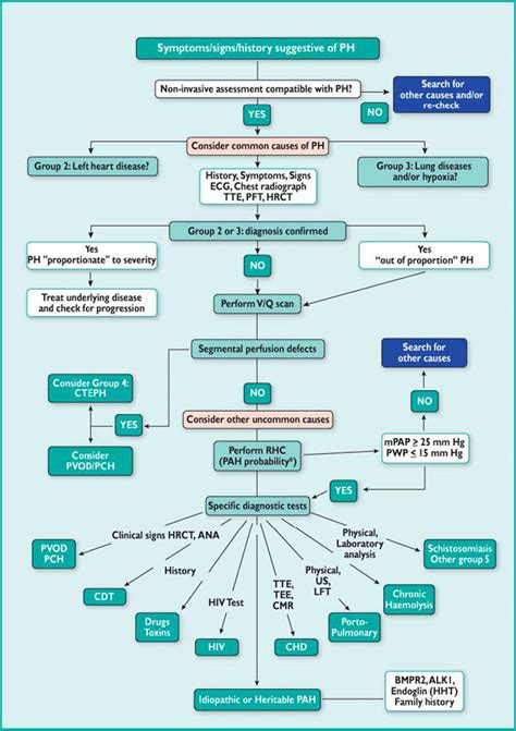 Diagnostic Algorithm For Ph Esc Guidelines Ph1 Download Scientific