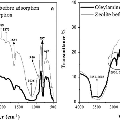 Tg And Dsc Curves Of Diatomite C And D Zeolite Samples Download Scientific Diagram