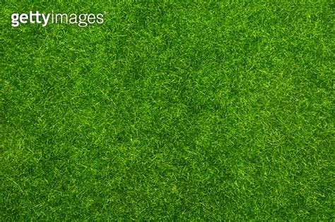 잔디 표현a7381385 유사이미지 게티이미지뱅크