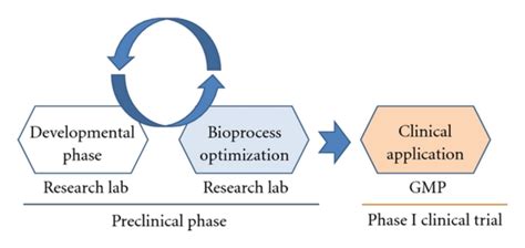 Dynamic Bioprocess Optimization This Dynamic Interaction Between The