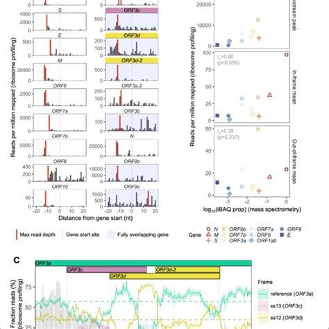 Sars Cov 2 Gene Expression In Ribosome Profiling And Mass Spectrometry Download Scientific