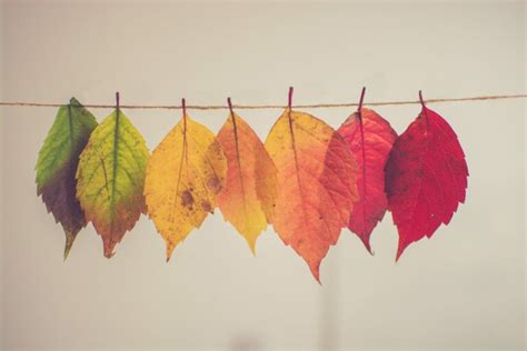 Spark Rdd Transformations With Examples Spark By Examples