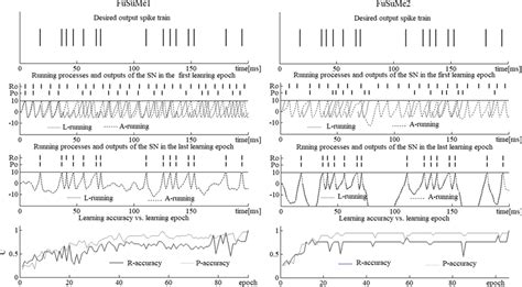 Learning Processes Of Two Types Of Fully Supervised Learning Methods