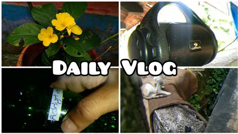 Daily Vlog Chaithra R Devadiga Youtube