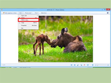 How To Download The Bing Daily Image To Your PC 11 Steps