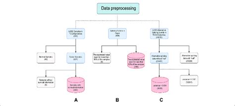 Steps Of Data Preprocessing The Solid Line Represents The