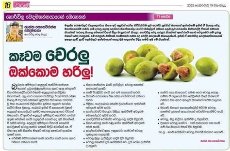 කොහොමද මනුස්ස පරාණවලට වැළඳෙනවාය කියන අට අනූවක් රෝග නිට්ටාවටම සුව කරන්ට පුළුවන් ජගතෙක් ඉන්නවනම්