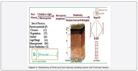 Soil Formation Processes