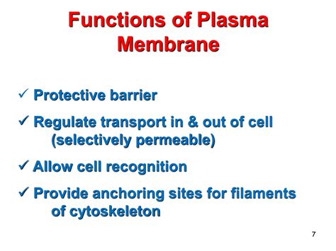 Lecture 2 Pm Cellular Membranesstructureppt