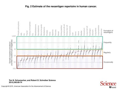 fig 2 estimate of the neoantigen repertoire in human cancer ppt