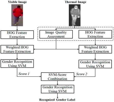 Enhanced Gender Recognition System Using An Improved Histogram Of