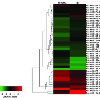 Hierarchical Clustering Of Differentially Expressed MiRNAs The