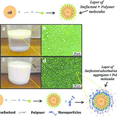 Time Dependent Particle Size Distribution Using Dls Analysis For Ow