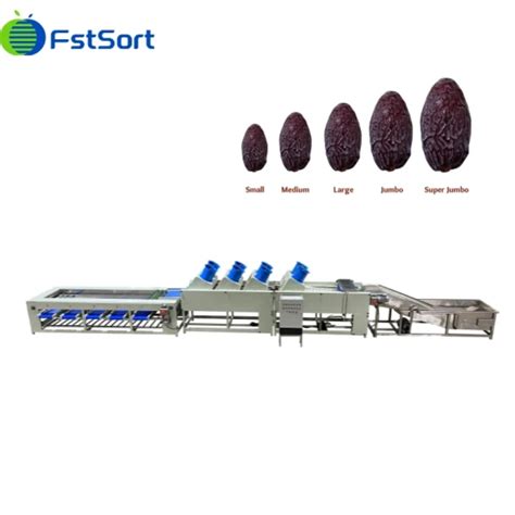 Dates Cherry Tomato Plums Fresh Jujube Apricot Fruit Sorting Grading Machine Fruit Sorting