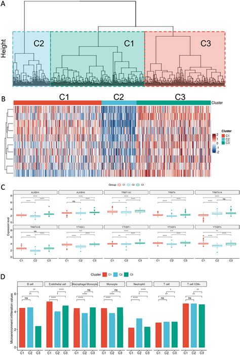m1a modification patterns a dendrogram of hierarchical clustering of