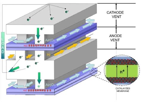 Design Of A New Single Cell Flow Field Based On The Multi Physical