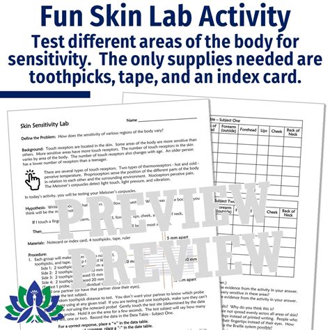 Integumentary System Activity Skin Sensitivity Lab Flying Colors Science