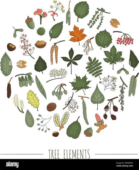 Vector Set Of Colored Tree Elements Isolated On White Background Framed In Circle Colorful Pack