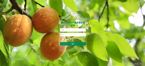 （附源码）计算机毕业设计ssm基于农产品交易系统计算机设计农产品毕设 Csdn博客