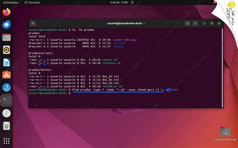 Administrar Permisos Desde La Terminal De Ubuntu Somebookses