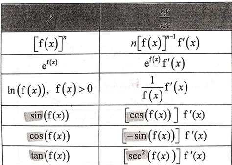 Differentiation Flashcards Quizlet