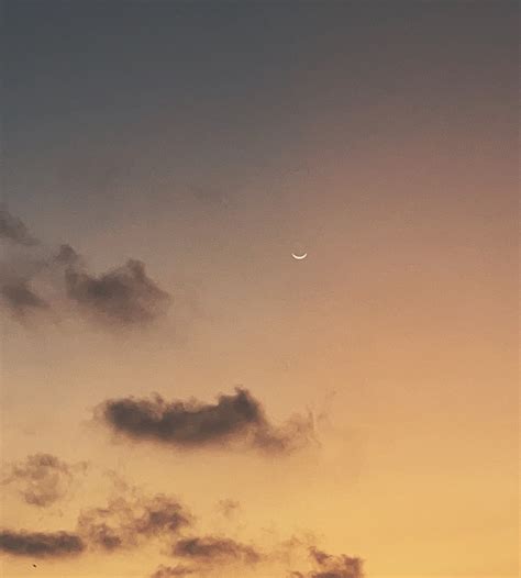 Instagram Photo By Pkoiee • Jan 30 2024 At 236 Am