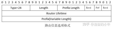 ipv6 nd协议 源码解析【根源分析】 source link layer address csdn博客