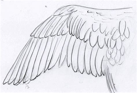 Weekly Doodles And Tuts Drawspace Lesson M02 How To Draw A Wing