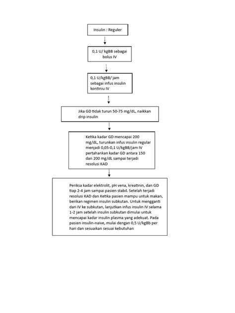 Algoritma Insulin Pdf