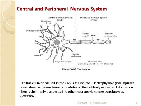 multi sensory environment mse training sensorium 2 partial