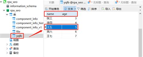 其他 数据库 执行单sql查询rpa组件介绍 其他 数据库 执行单sql查询rpa组件介绍