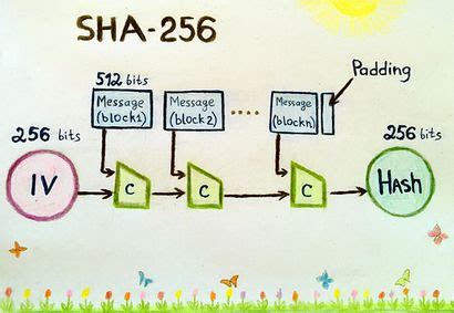 What Is SHA And How Is The Algorithm Related To Bitcoin