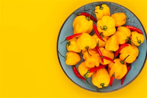 Premium Photo Chilli Pattern With A Pastel Background Pattern Background Design