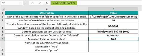 INFO Excel Function Syntax Examples How To Use
