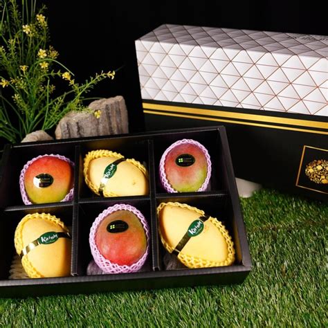 🔴예약 프리미엄 애플망고 골드망고 혼합 선물세트🔴 대박농수산