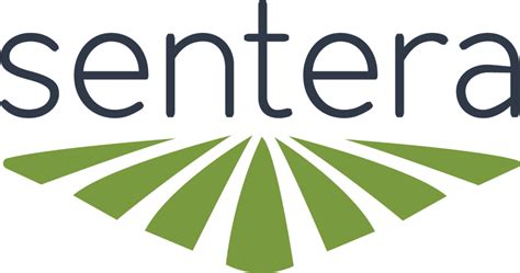 Lidar Data Processing 5 Key Steps For Precision Mapping Gnssae