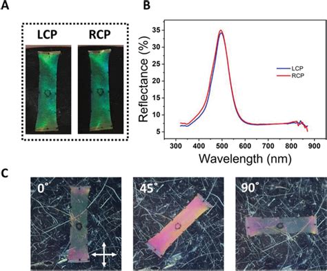 A Photographs Of The Film Photopolymerized With A Strain Of 475