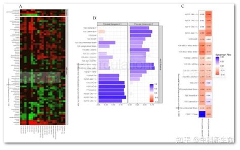 Circulation：代谢组学变化揭示早期成年人心血管风险因素 知乎