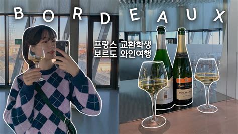 🇫🇷 와인의 도시 보르도 여행 Vlogㅣ와인 박물관🍷 프랑스 와인🥂 최고로 맛있는 오리 스테이크 보르도 야경ㅣ프랑스 교환학생 브이로그 Ep12 Youtube