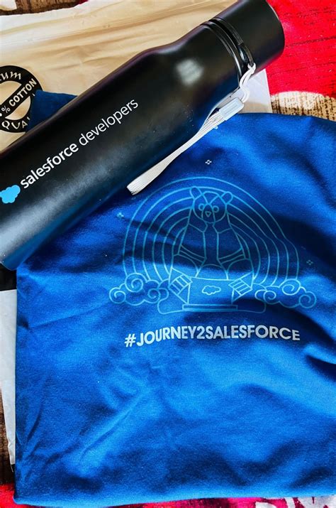 Pranav Jathar On Linkedin Salesforceswag Salesforcedevelopers Salesforcecommunity Salesforce