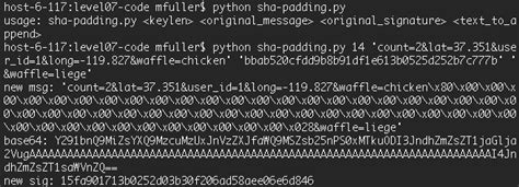 Matthew D Fuller Blog Stripe Capture The Flag Level By Level Walkthrough