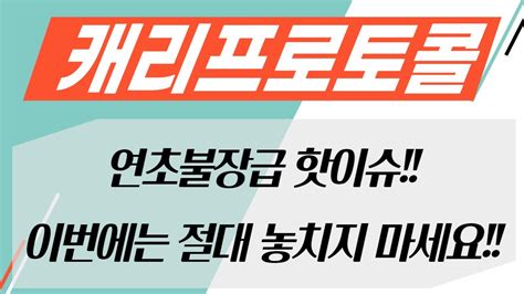 캐리프로토콜 연초불장급 핫이슈 이번에는 절대 놓치지 마세요 Youtube
