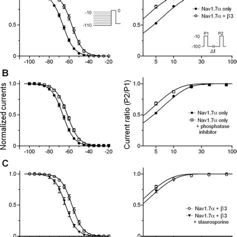 Co Expression Of β3 Subunit With Nav17α In Hek 293 Cells A Western Download Scientific