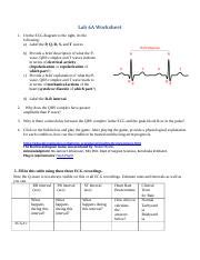 Understanding Ecg Labeling Waves And Exploring Heart Activity Course