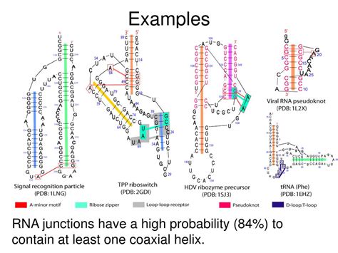 PPT Towards RNA Structure Prediction D Motif Prediction And Knowledge Based Potential