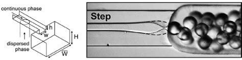 Example Of Microfluidic Step Emulsification Design For Producing
