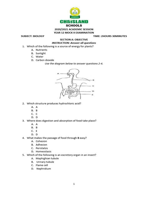 Biology Year 12 Pdf Dominance Genetics Vein