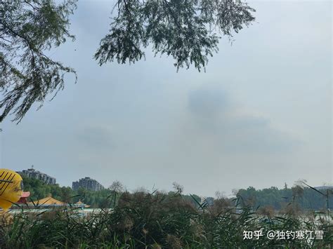 陶然亭公园半日游 知乎