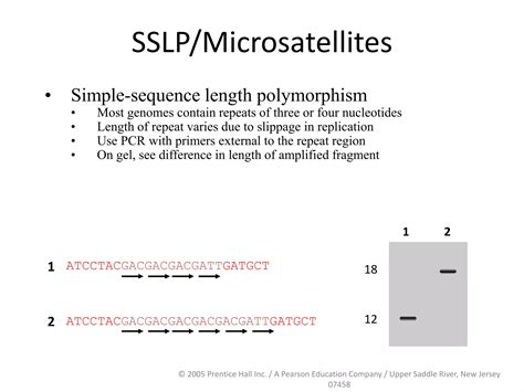 Map Based Cloning Of Genome Pptx